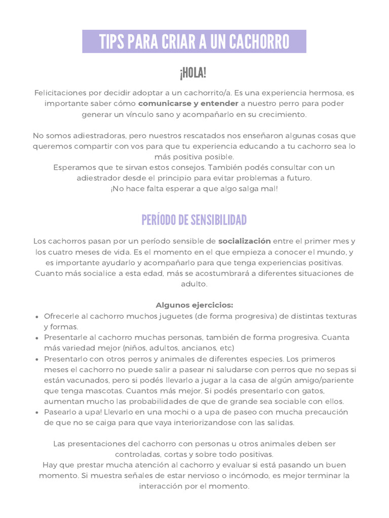 Tips para Criar A Un Cachorro | PDF