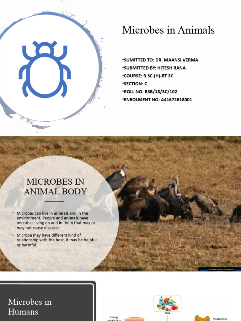 102 Hitesh Rana | PDF | Science & Mathematics