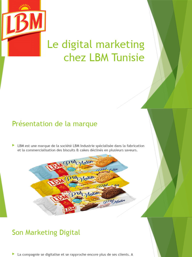 Le Digital Marketing Chez LBM Tunisie | PDF | Affaires | Finance et gestion monétaire