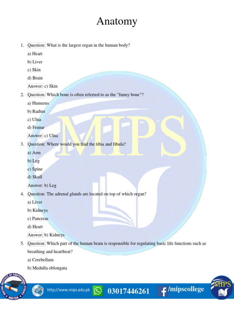 Anatomy Multiple Choice Question Answer | PDF | Anatomical Terms Of Motion | Vertebra