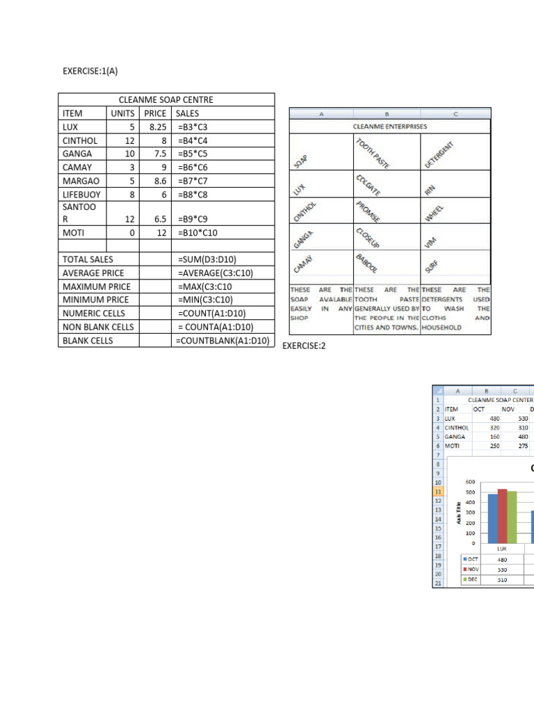 Excel Practical Exercise | PDF