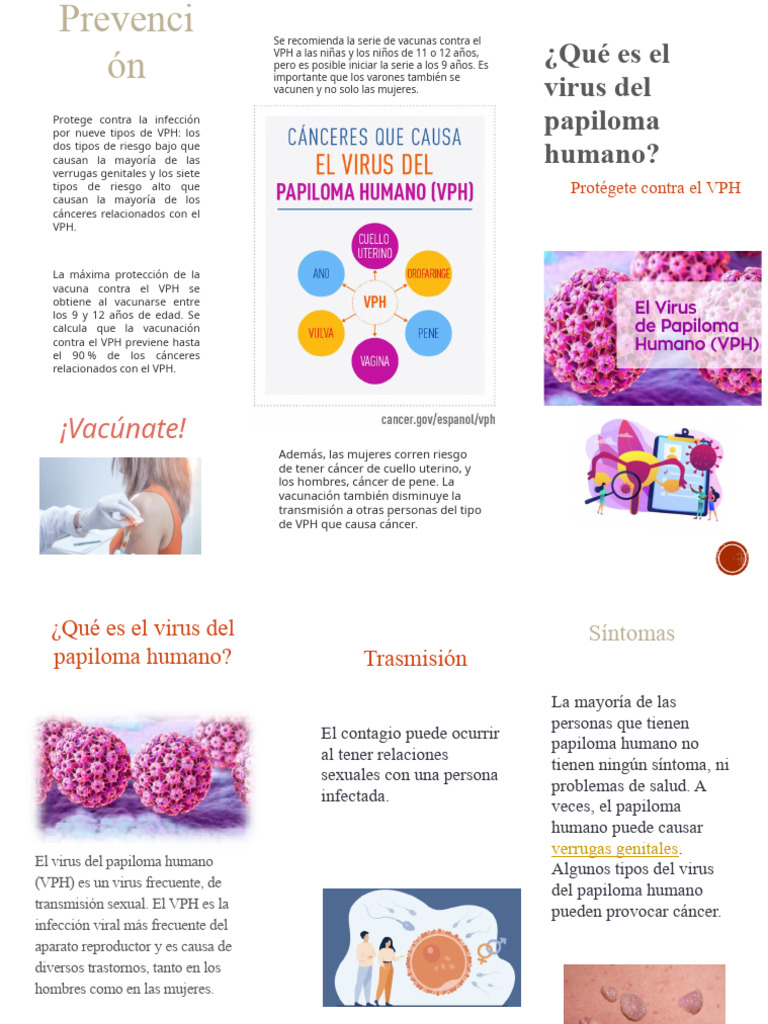 FOLLETO DEL VPH | PDF | Virología | Medicina CLINICA