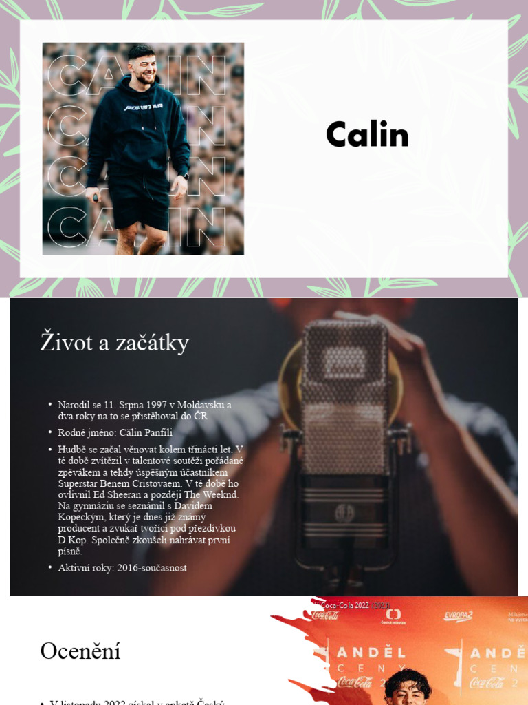 Calin | PDF