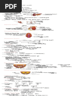 Cockroach Ncert | PDF