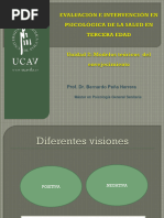 Teoría de La Actividad | PDF | Vejez | Ciencias del comportamiento