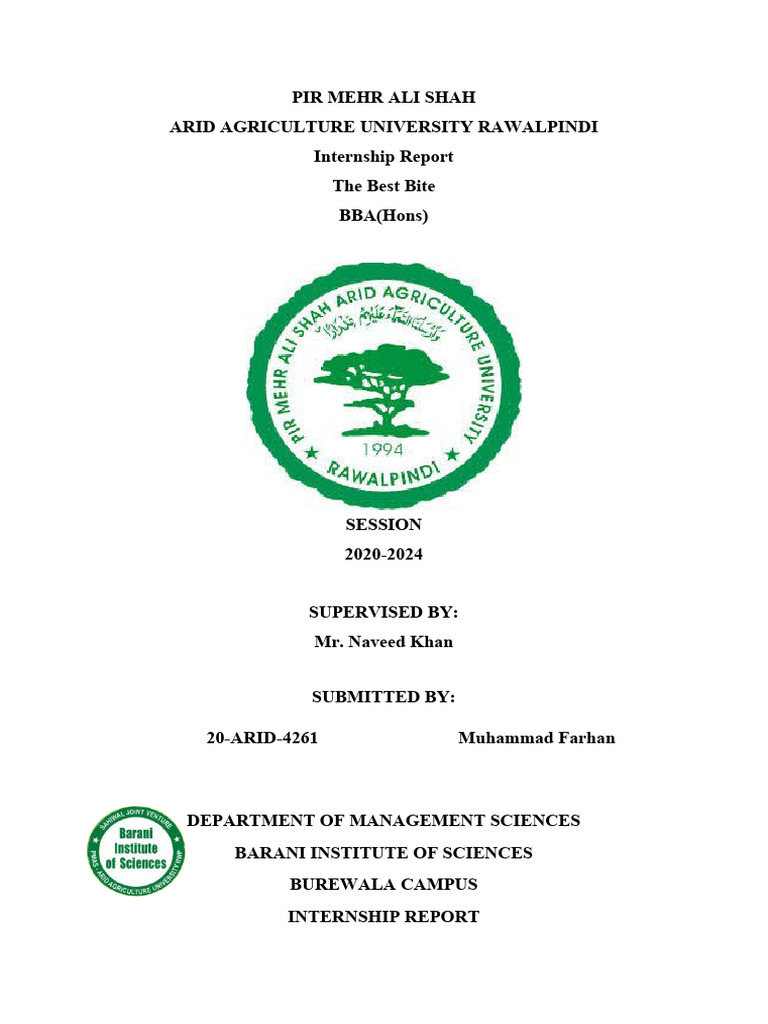 Farhan Internship Pdf Hamburgers Foods 
