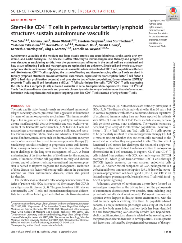 Stem-Like CD4+ T Cells in Perivascular Tertiary Lymphoidstructures ...