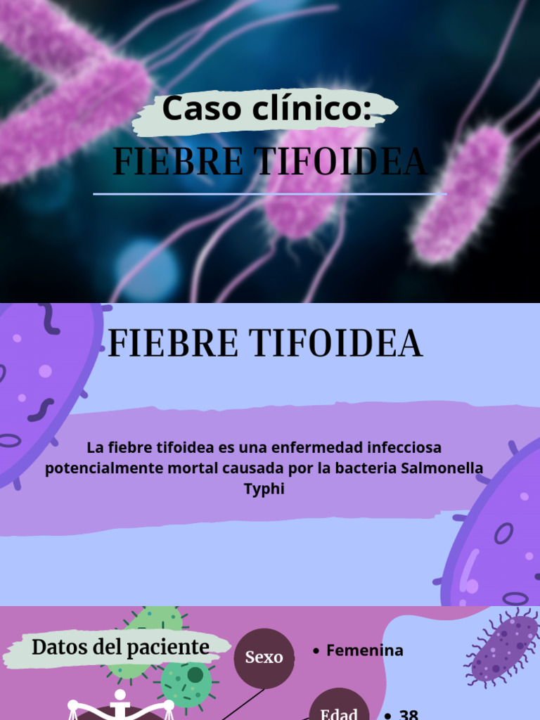 FIEBRE TIFOIDEA | PDF | Fiebre | Salmonela