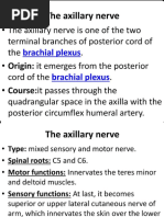 Triangular Space - Borders - Contents - TeachMeAnatomy | PDF