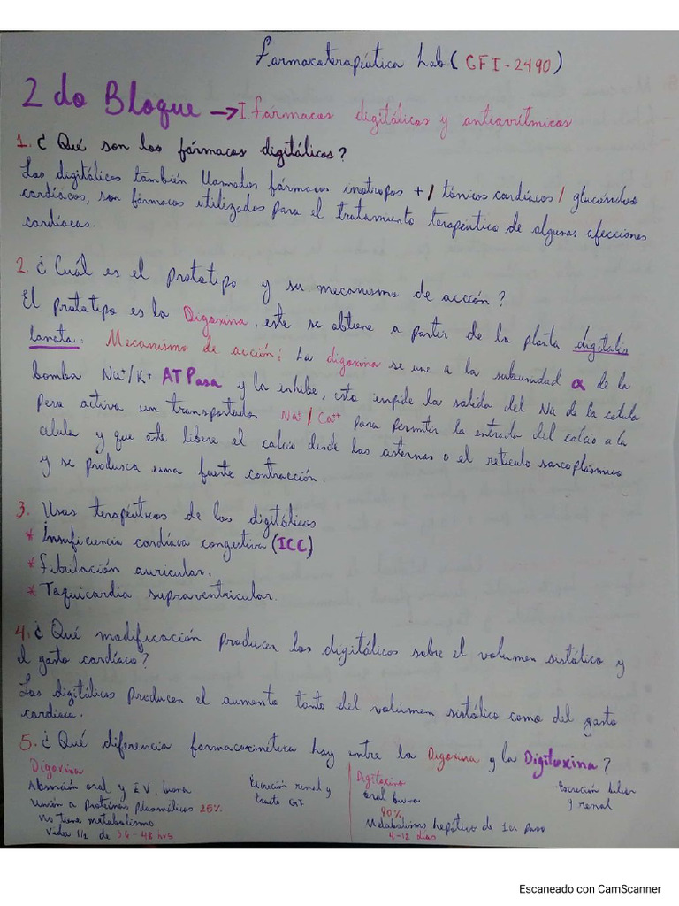 Segundo Bloque de Tareas | PDF