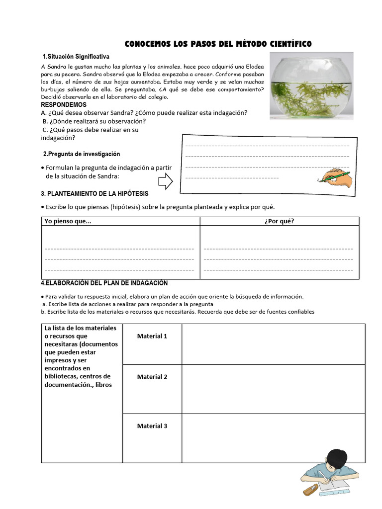 Pasos del Método Científico Explicados | PDF | Hipótesis | Observación