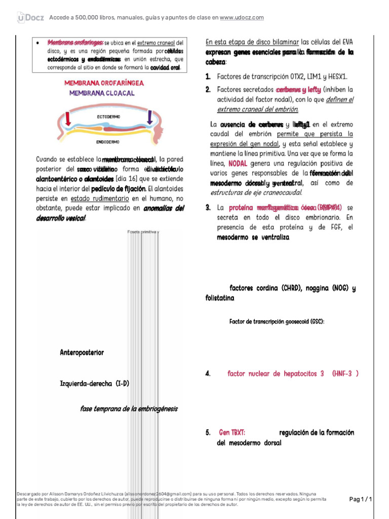 Tercera Semana Del Desarrollo Embrionario - CamiScience - Udocz | PDF | Biología Molecular ...