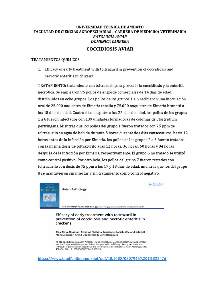 Tratamientos Efectivos para Coccidiosis Aviar | PDF | Orégano | Medicina CLINICA