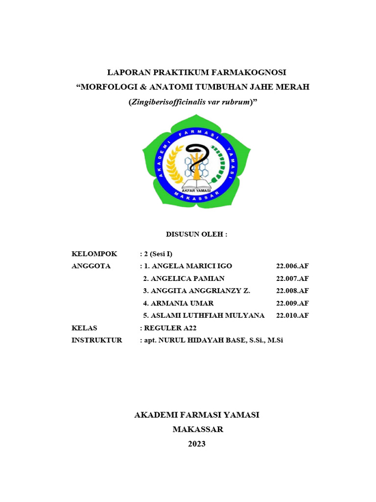 Laprak Morfologi Dan Antomi Jahe 2 | PDF