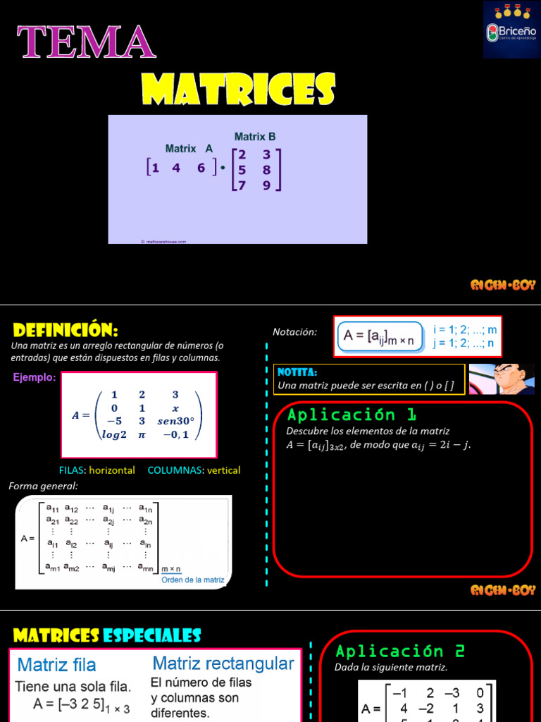 MATRICES GENERAL T | PDF | Matriz (Matemáticas) | Determinante
