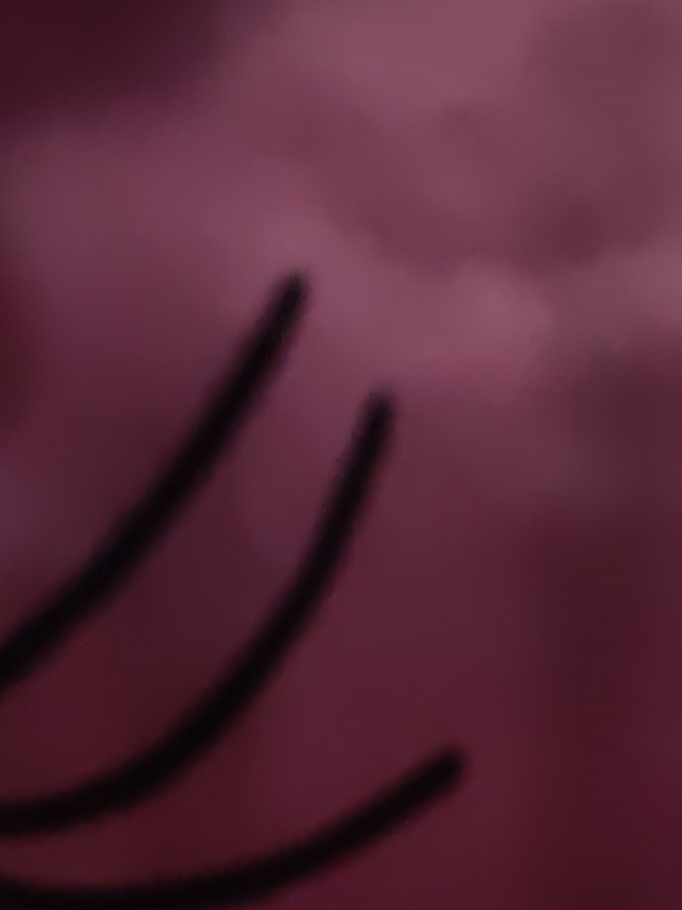 Scanat 20240512-2229 | PDF