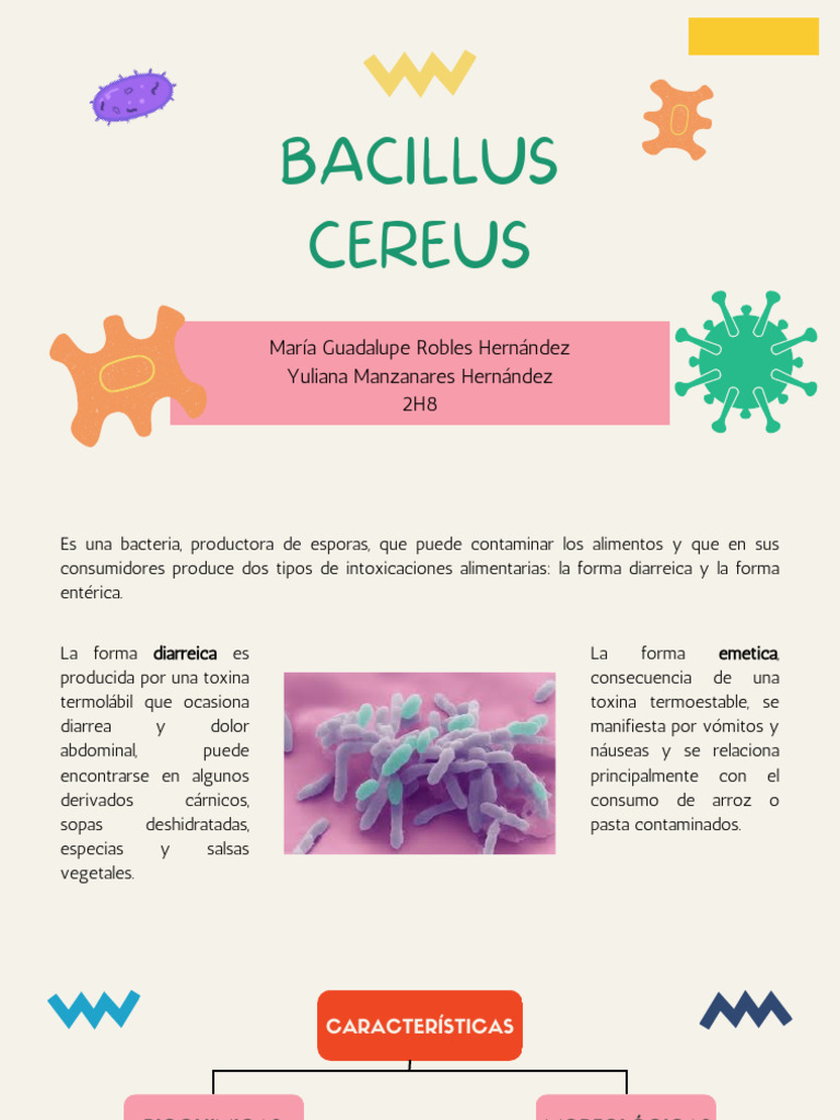 Bacillus Cereus | PDF | Biología | Especialidades Medicas