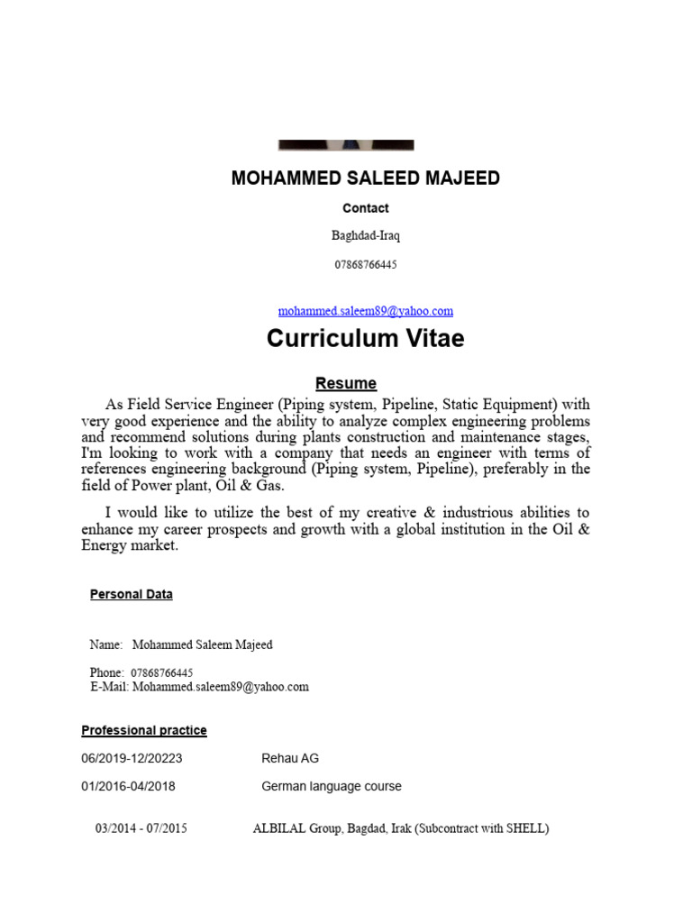 CV MOhammed Saleem | PDF | Nondestructive Testing | Engineering
