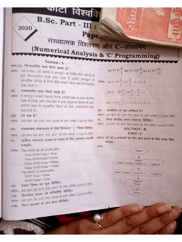 C Programming Hindi BSC | PDF