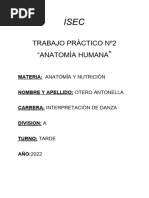 Músculos Del Torso | PDF | Sistema musculoesquelético | Anatomía humana