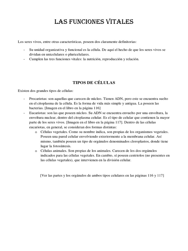 T6 Las Funciones Vitales 2 Pdf Sexo Biología Celular