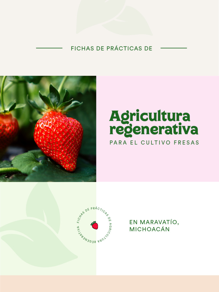 Manual_sobre_agricultura_regenerativa_en_cultivo_de_fresa | PDF ...