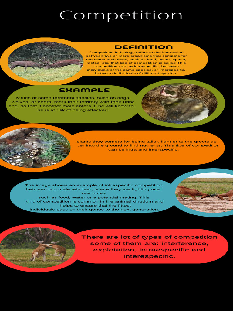 Competition | PDF | Wellness | Science & Mathematics