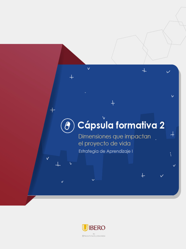 capsula-E1-C2 para La Infografia Proyecto de Vida | Descargar gratis PDF | Evaluación ...