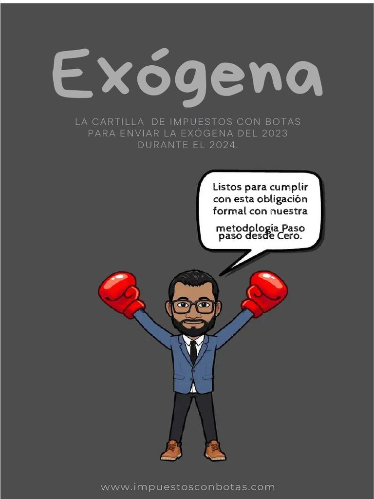 Guía para Diligenciar Exógena 2024 | PDF | Xml