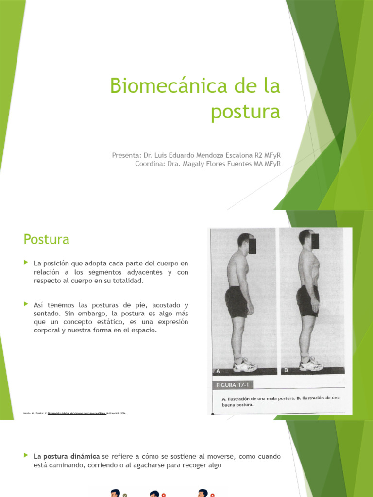 Biomecánica de La Postura | PDF | Músculo | Sistema musculoesquelético