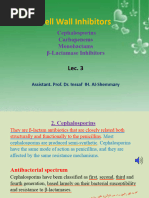 Northwestern Beta-Lactam Cross-Reactivity Chart | PDF | Penicillin ...