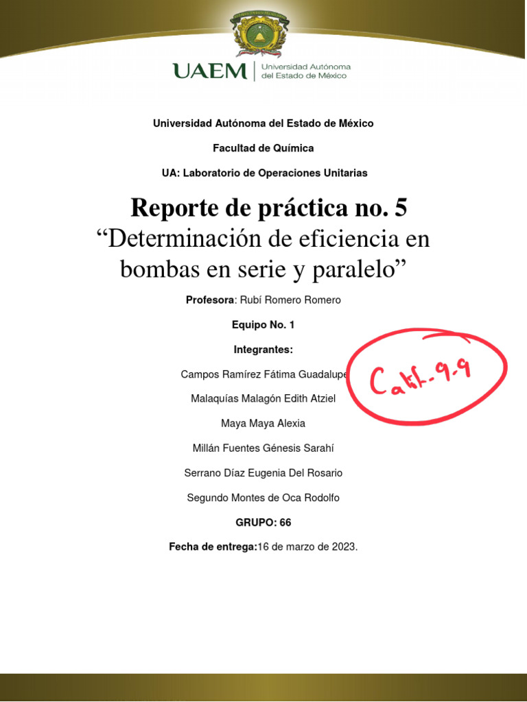 Reporte P5 Op.U Calif | PDF | Bomba | Ingeniería mecánica