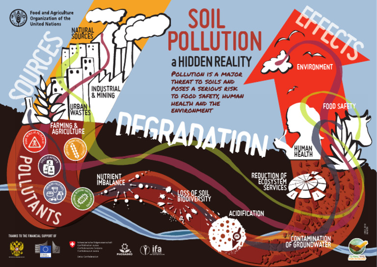 Soil Pollution | PDF | Soil | Pollution