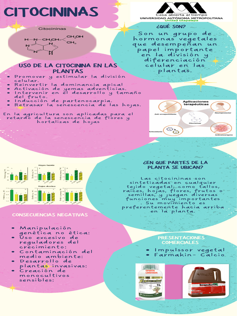 Citocininas | PDF | Hormona Vegetal | Fisiología de las plantas