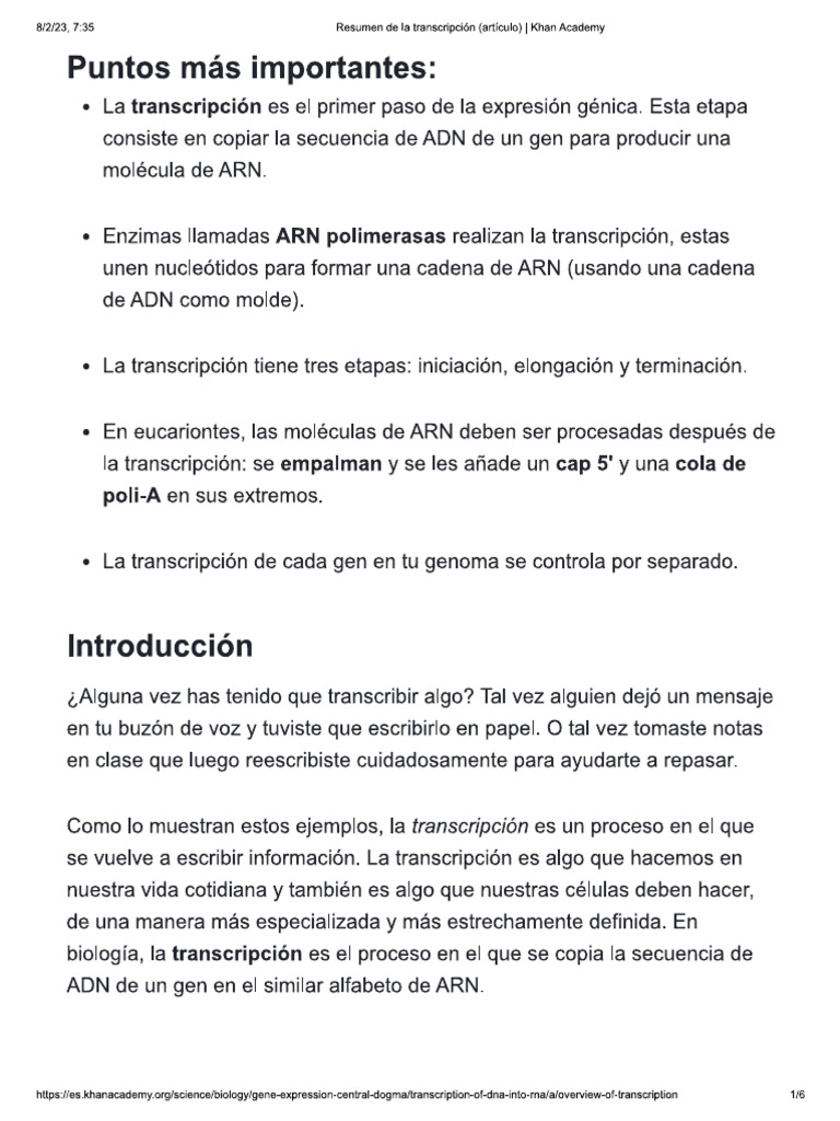 Resumen de La Transcripción | PDF