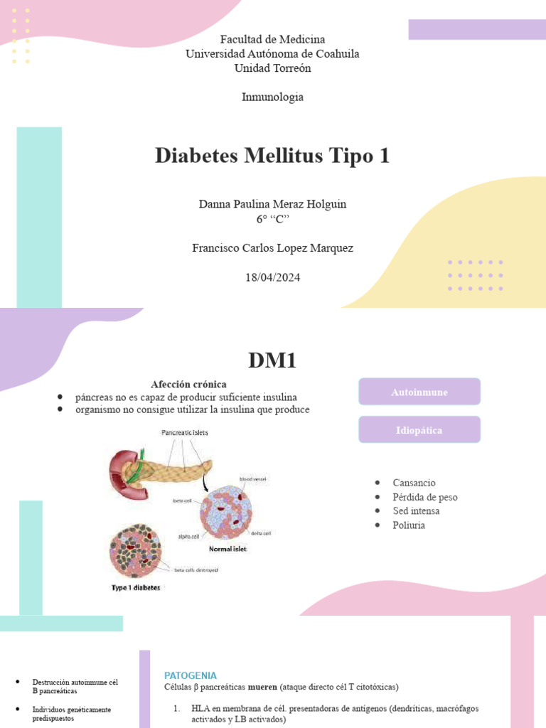 Tema 8 Diabetes Mellitus Tipo 1 | Descargar gratis PDF | Diabetes ...