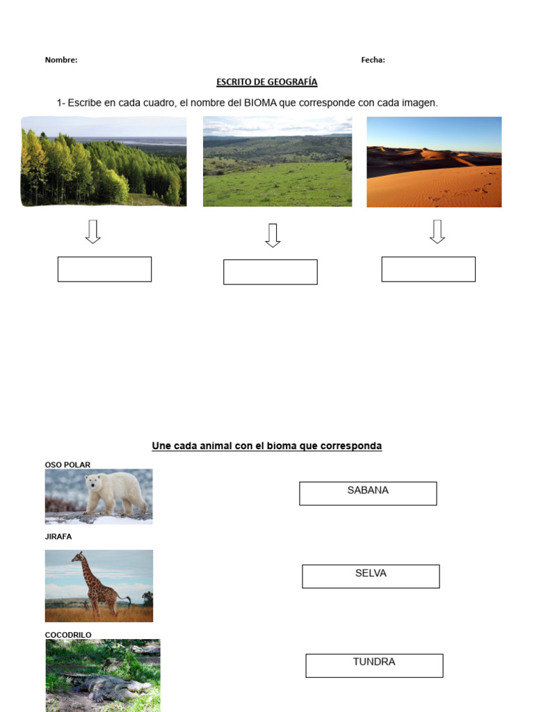 Biomas y Animales: Actividad Interactiva | PDF
