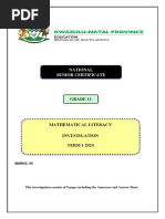 Grade 11 Tsotsi Notes | PDF