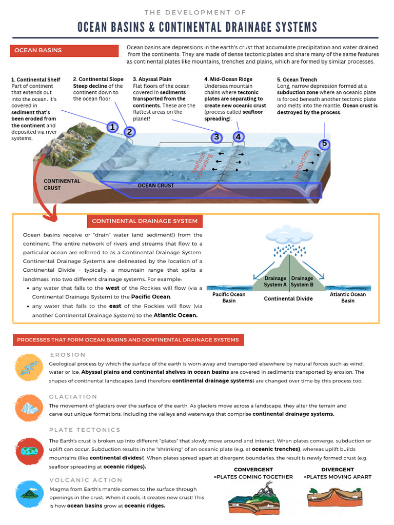 Ocean Basin - Quick Hitter | PDF | Plate Tectonics | Seabed