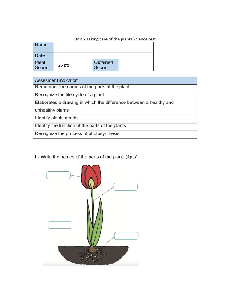 Plant Care Science Test | PDF