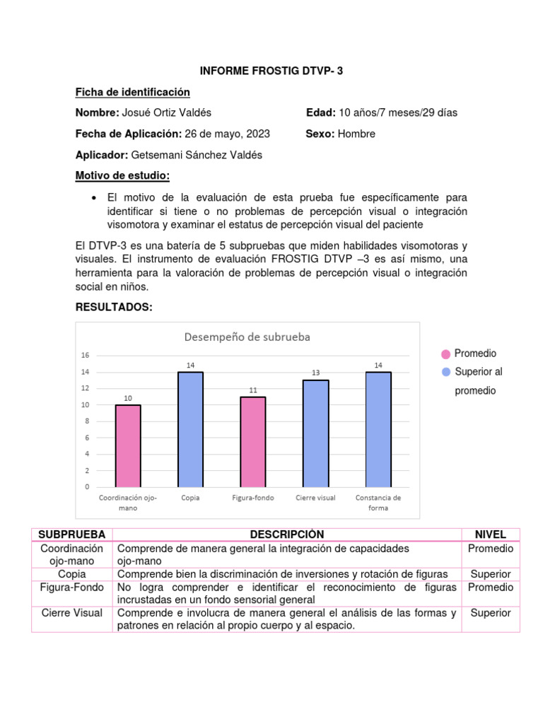 Informe DTVP-3 | Descargar gratis PDF | Percepción | Percepción visual