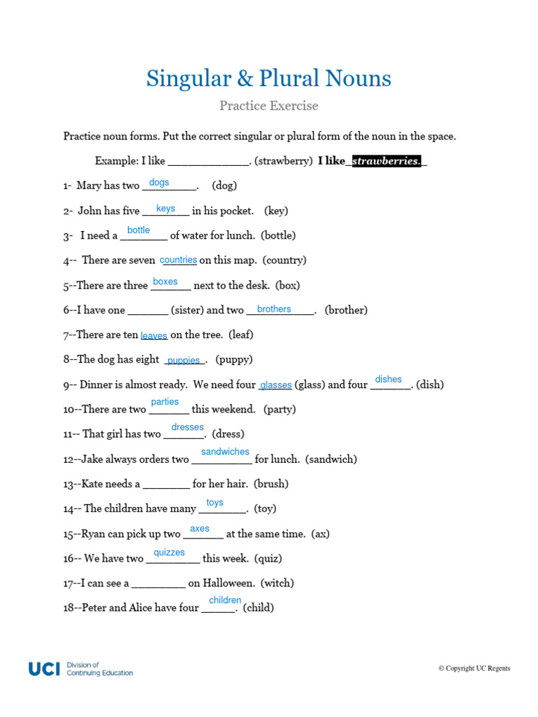 Singular Plural Nouns Practice Exercise | PDF