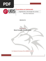 Temas de HySat Medallia (1) (1) | PDF