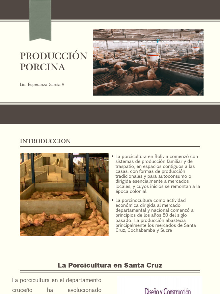 Porcina | PDF | Cerdo | El embarazo
