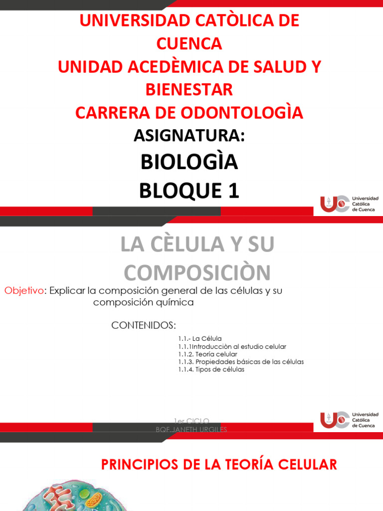 La Cèlula y Su Composiciòn | PDF | Biología Celular) | Eucariotas