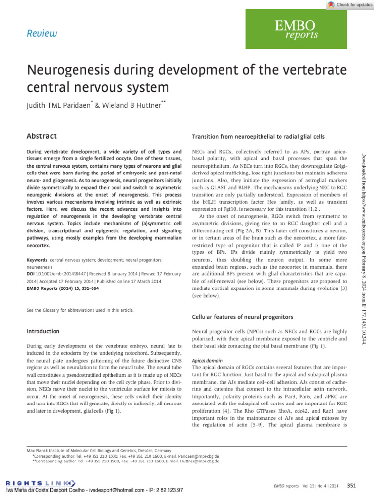 Neurogenesis in Vertebrate CNS Development | PDF | Neurogenesis ...