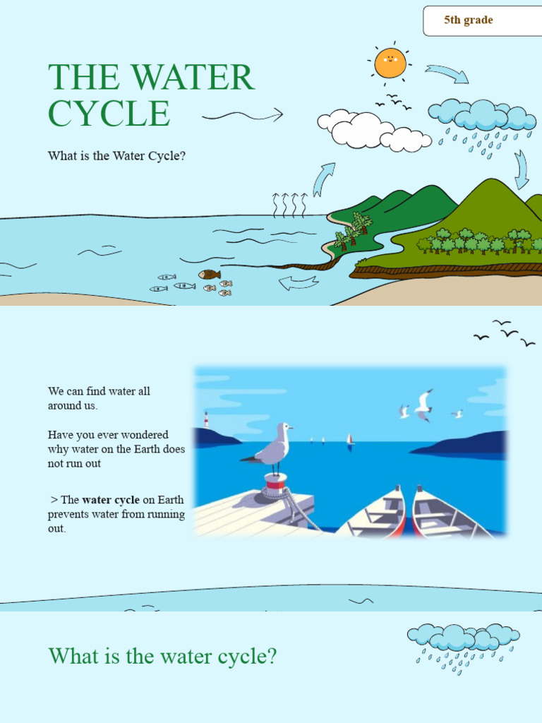 Water Cycle Basics for 5th Graders | PDF | Water Cycle | Water