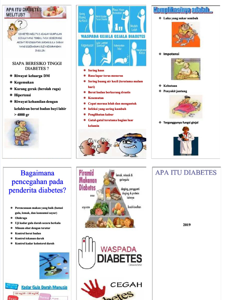 PDF Leaflet DM Lansia - Compress | PDF