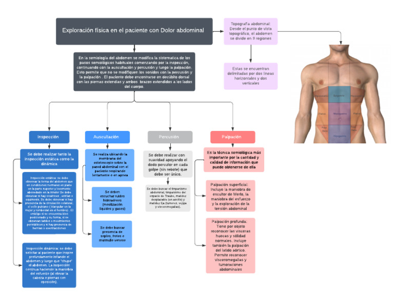 Diagrama Exploración Física 2 | PDF | Abdomen | Medicina CLINICA