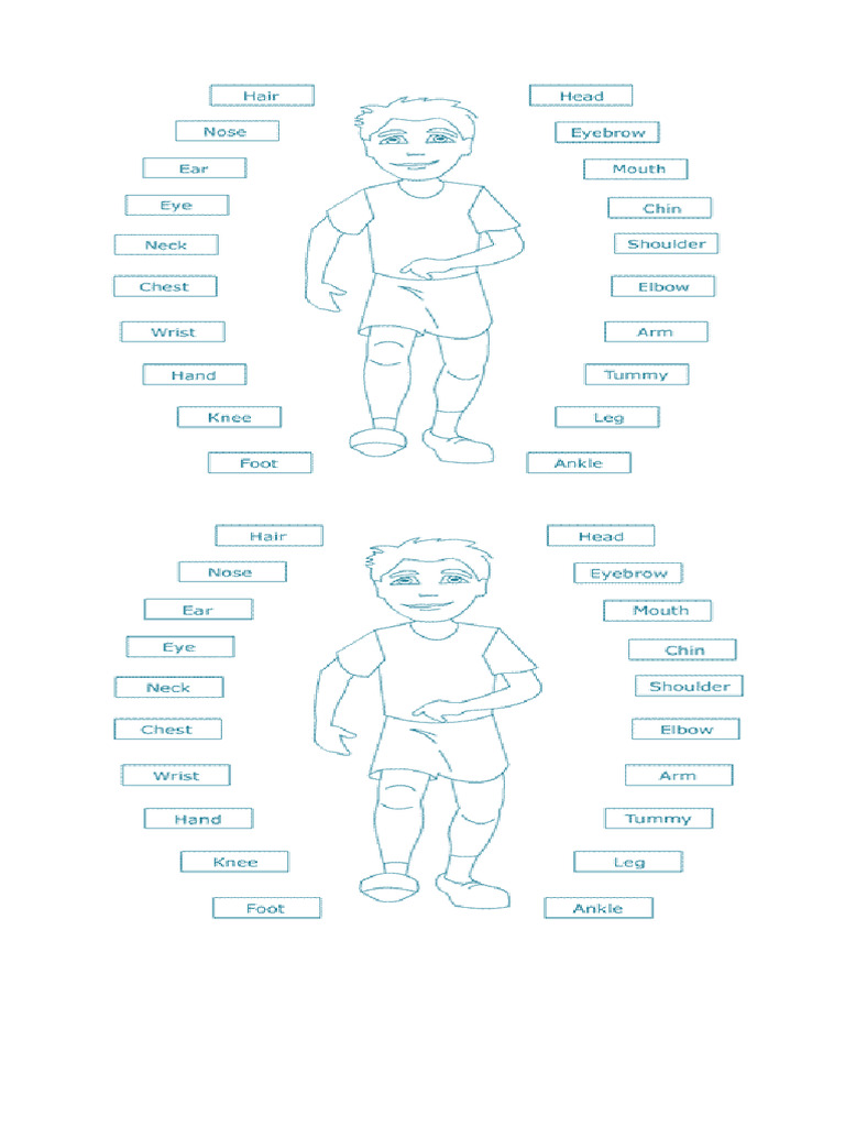 Gambar Parts of Body | PDF